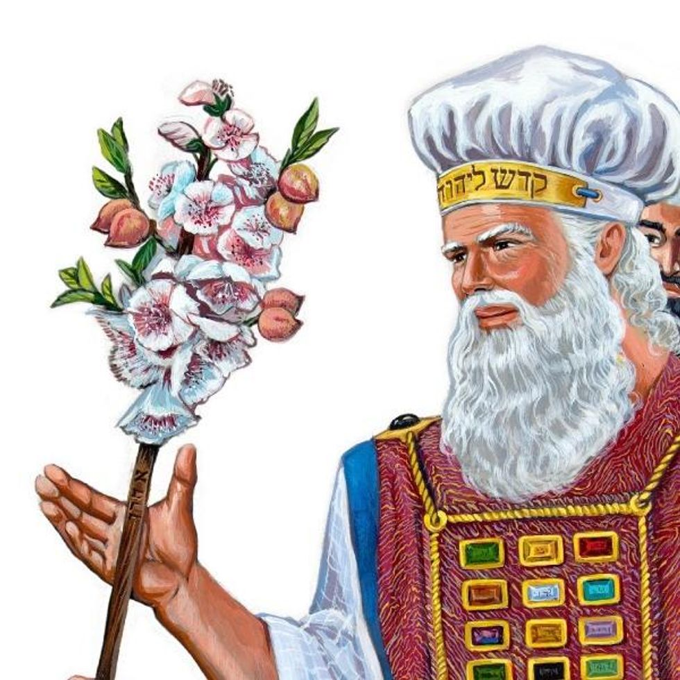 What is the Rod of Aaron in the Bible? | The Odyssey Online