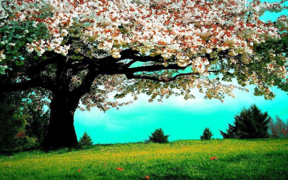 3 Easy Ways To Put Some "Spring" In Your Step This Season | The Odyssey ...