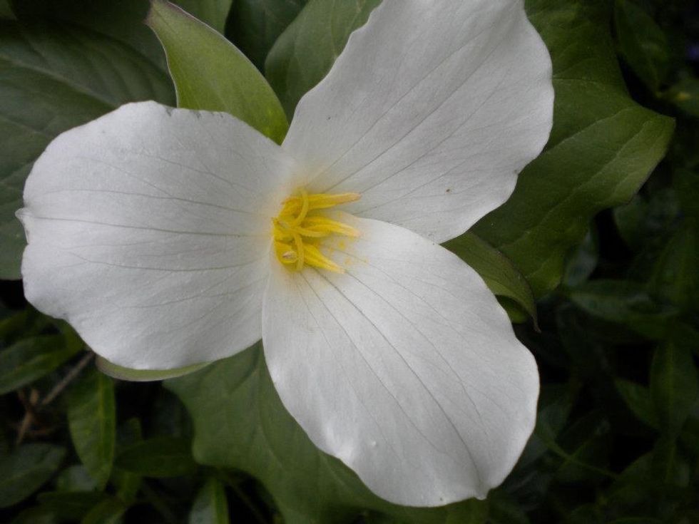 29 Reasons Why Spring Is A Wonderful Season | The Odyssey Online