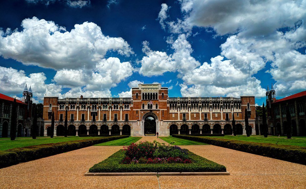 Dear Rice, Thank You | The Odyssey Online