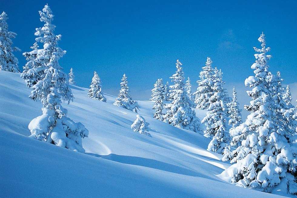 Why Snow is Amazing | The Odyssey Online