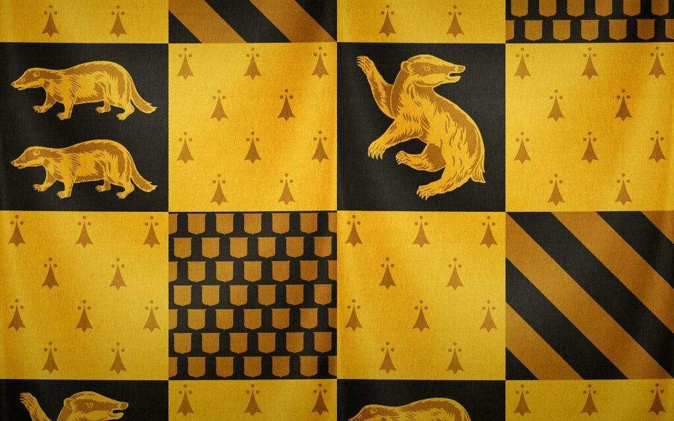 10 Reasons Why Hufflepuffs Are The Best | The Odyssey Online