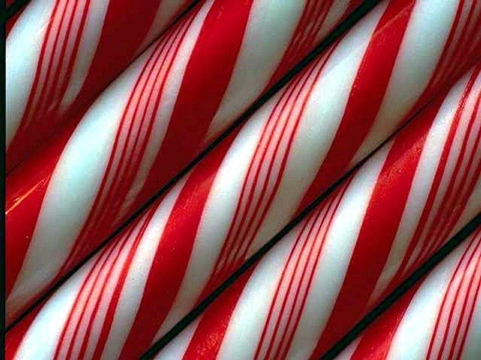 The Origins Of The Candy Cane | The Odyssey Online