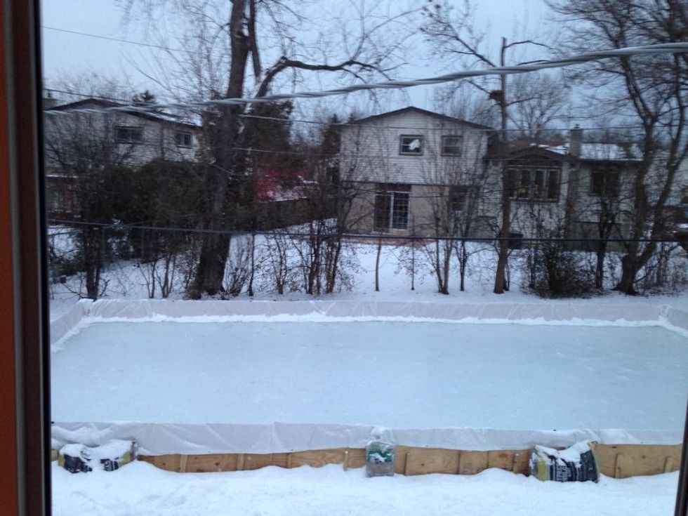 My Backyard Ice Rink | The Odyssey Online