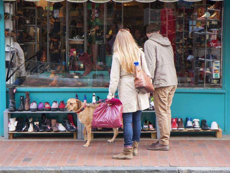 A Thanks to Holiday Retail Workers | The Odyssey Online