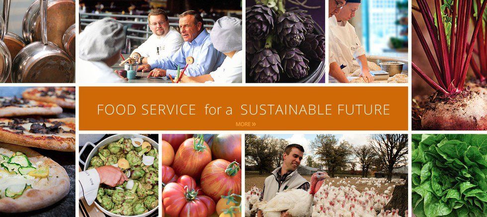 A Life Saving Guide To The USF Dining Hall | The Odyssey Online