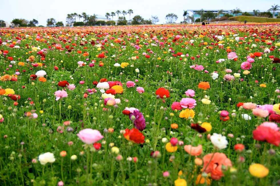 Here's A List Of Things That Will Make You Happy | The Odyssey Online