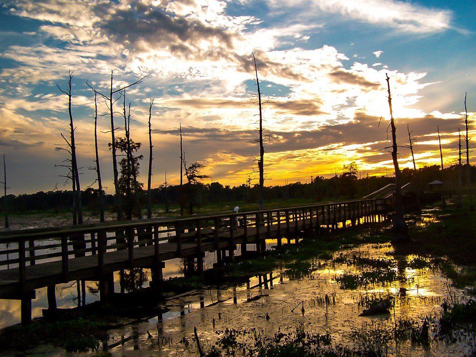 5 Must See Spots In Monroe, LA For All Nature Enthusiasts | The Odyssey ...