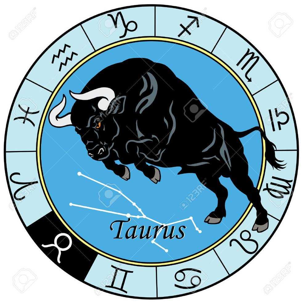 The Life Of A Taurus | The Odyssey Online