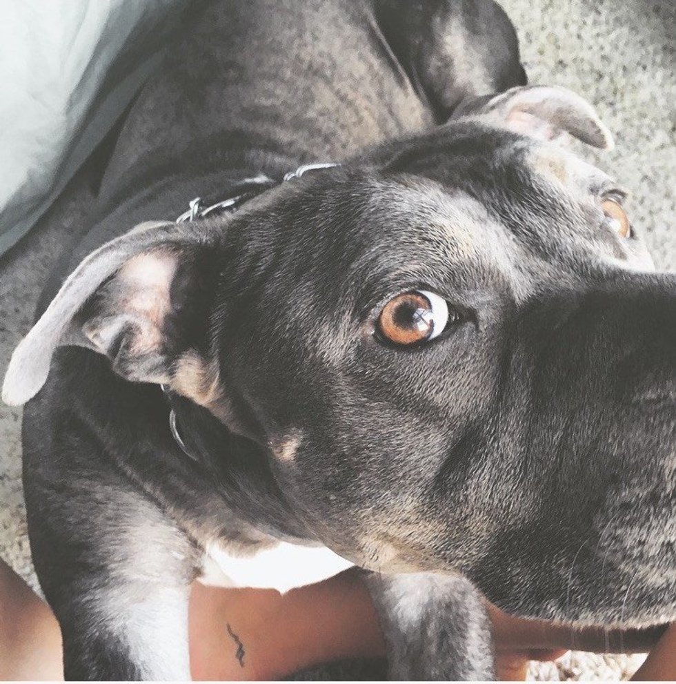 "It's the Pits" | The Odyssey Online