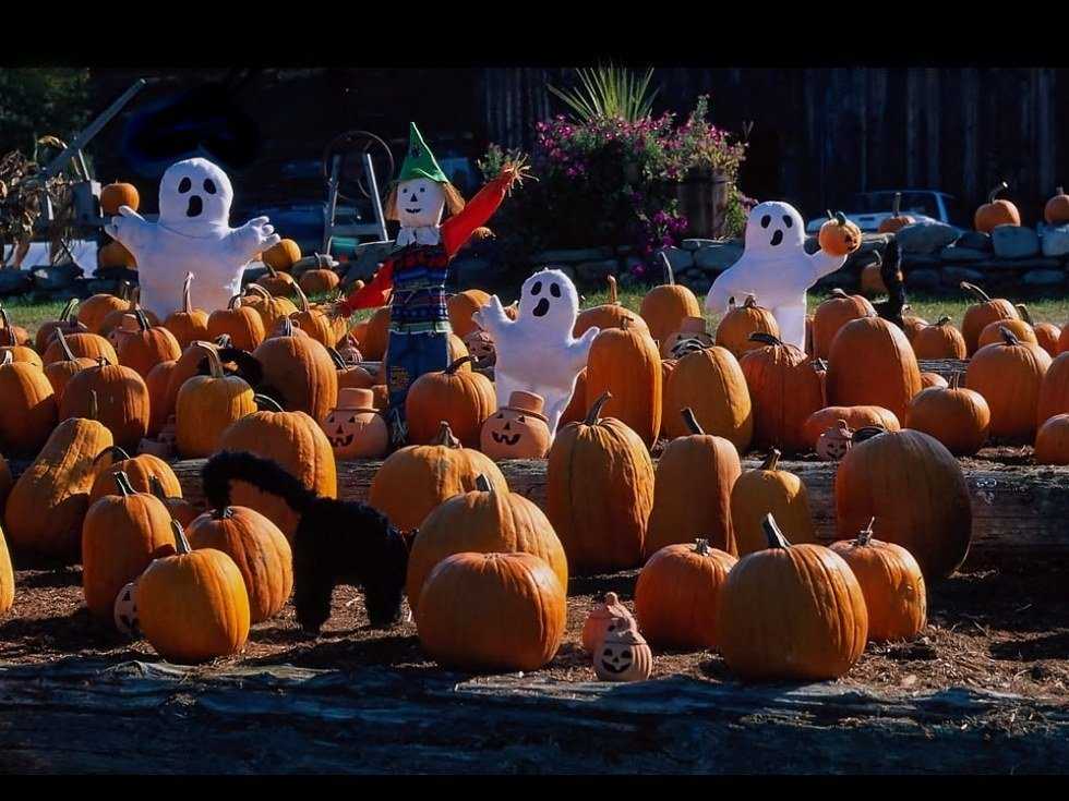 11 Reasons You're Secretly Obsessed With Fall | The Odyssey Online