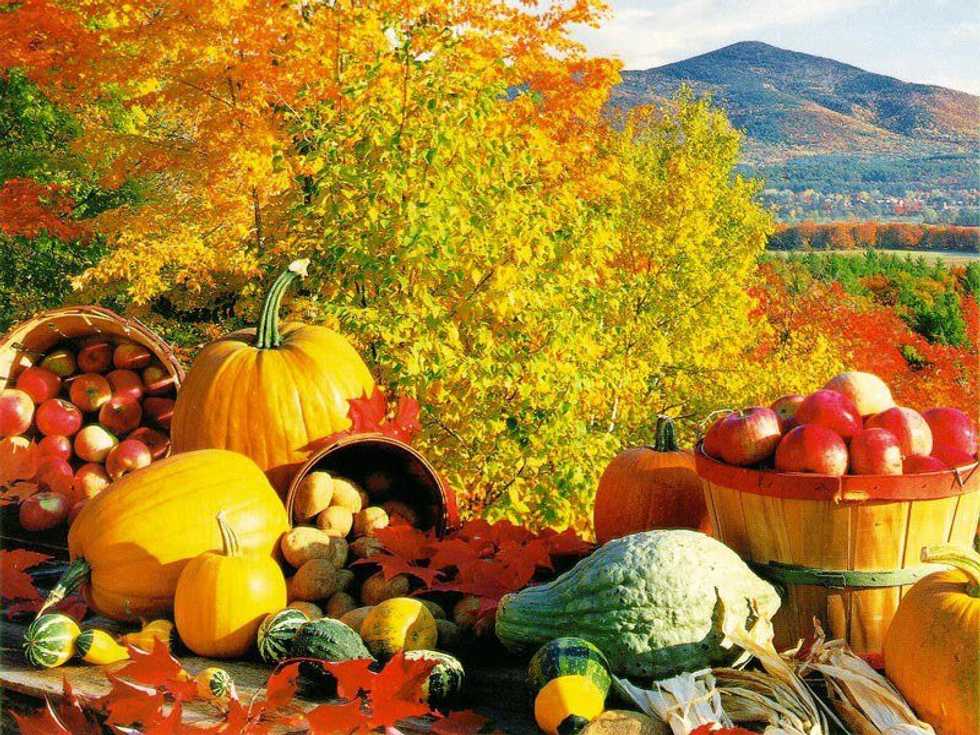 6 Reasons Why Fall Is The Best | The Odyssey Online