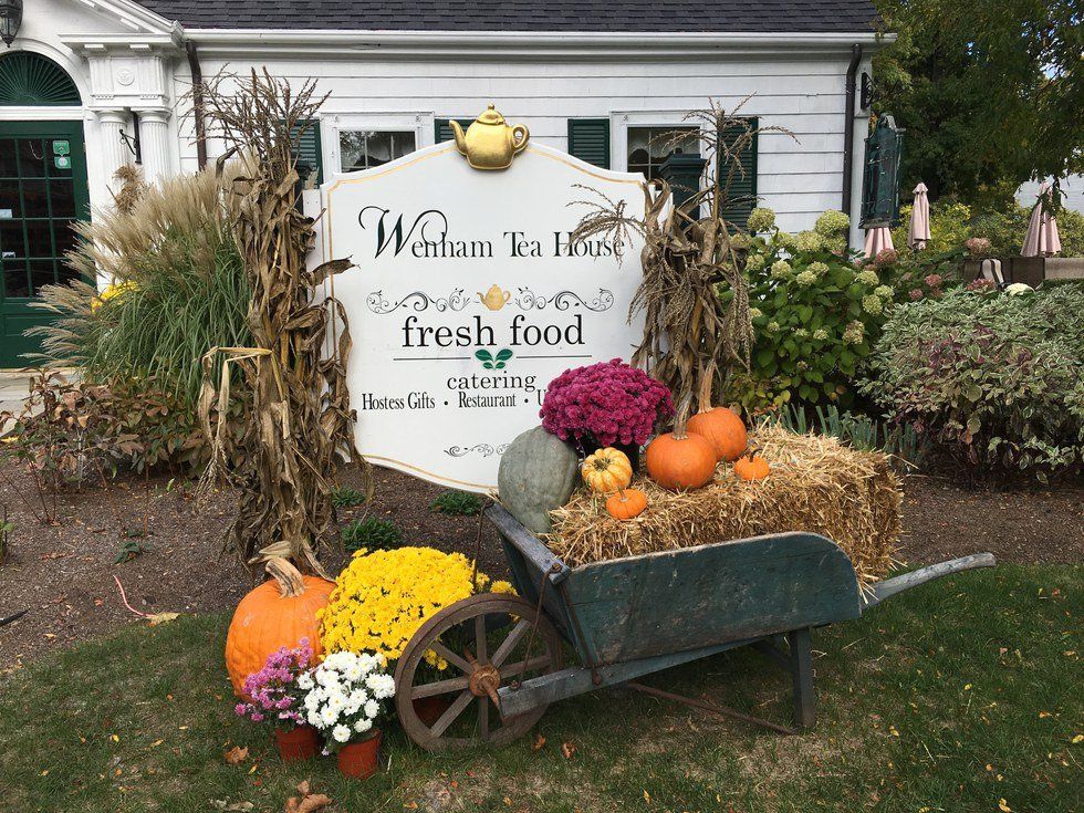 6 Reasons Why You Should Go To The Wenham Tea House | The Odyssey Online