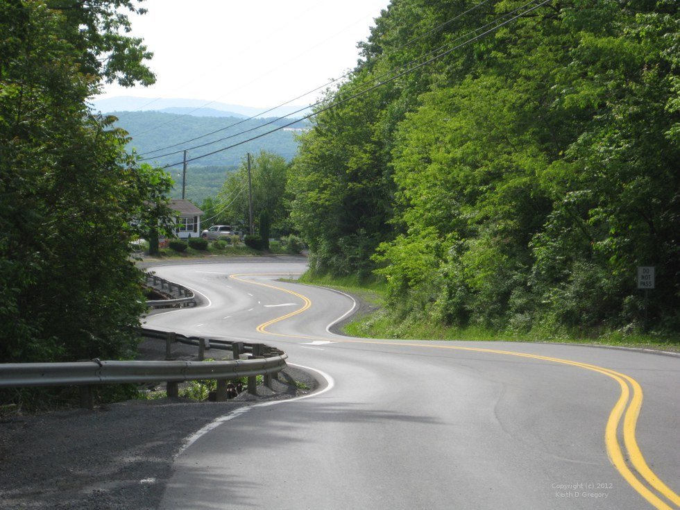 Taking "The Road Less Traveled On" | The Odyssey Online