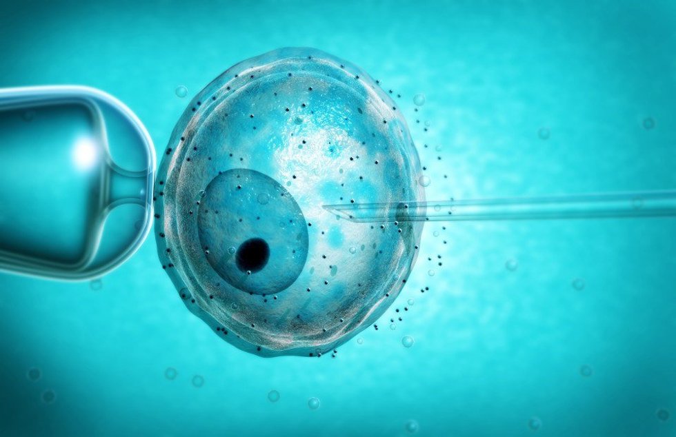First Baby Successfully Containing DNA From Three Parents | The Odyssey ...