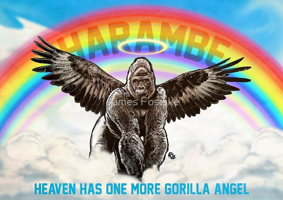 The Real Harambe Story | The Odyssey Online