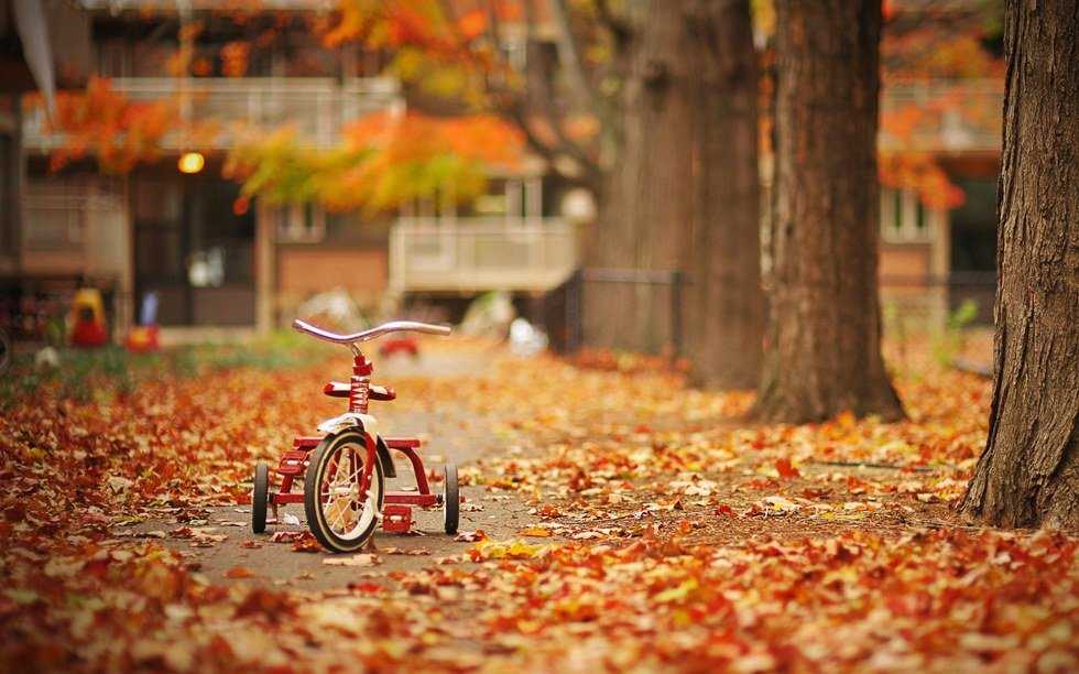 5 Reasons Why Fall is the Best Season | The Odyssey Online
