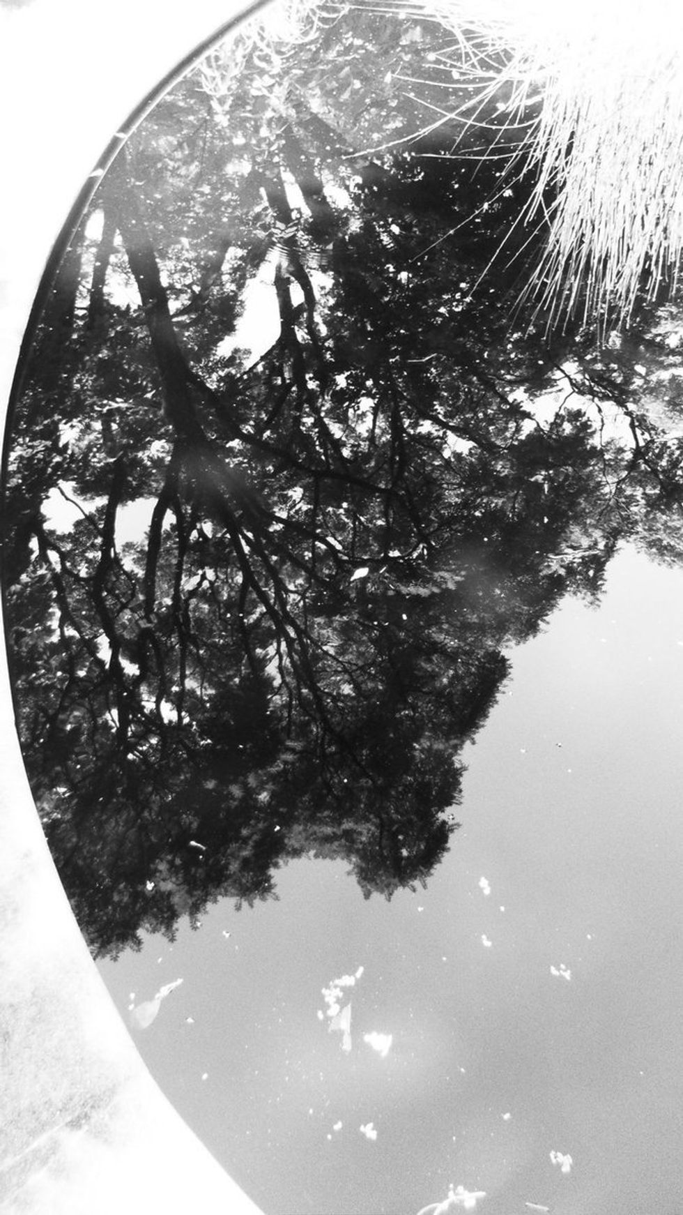 Self-Reflection: A Poem | The Odyssey Online