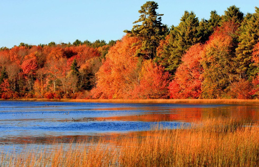 12 Reasons Why I Love The Fall Season. | The Odyssey Online