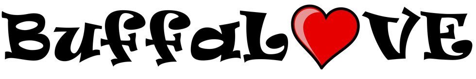 15 Reasons Why I Love Buffalo | The Odyssey Online