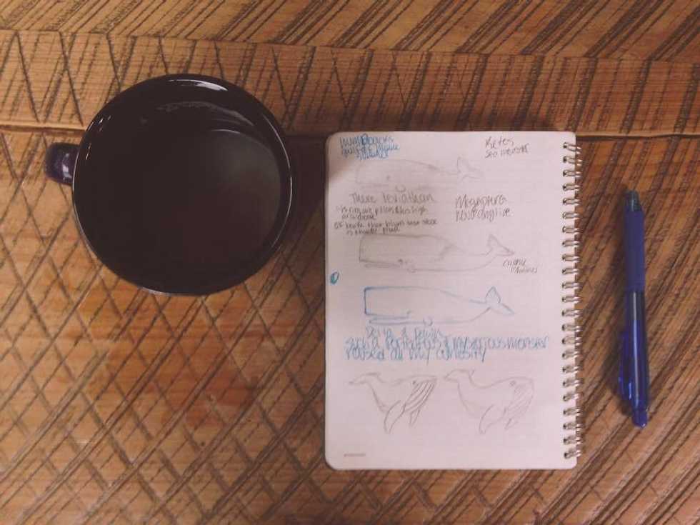 List Of Flaws | The Odyssey Online