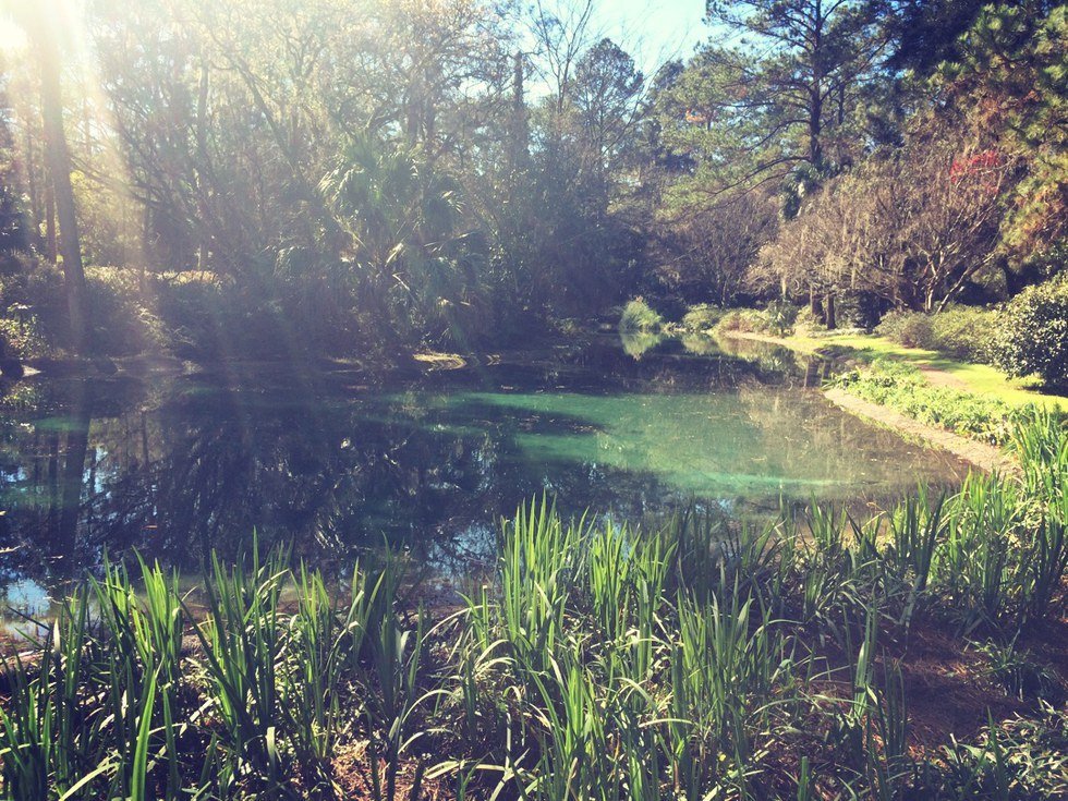 5 Hidden Natural Gems In Or Around Tallahassee That You Must Visit ...