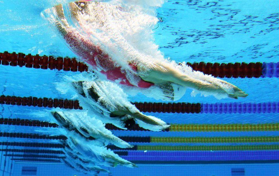 An Average Person's Guide To Olympic Swimming | The Odyssey Online