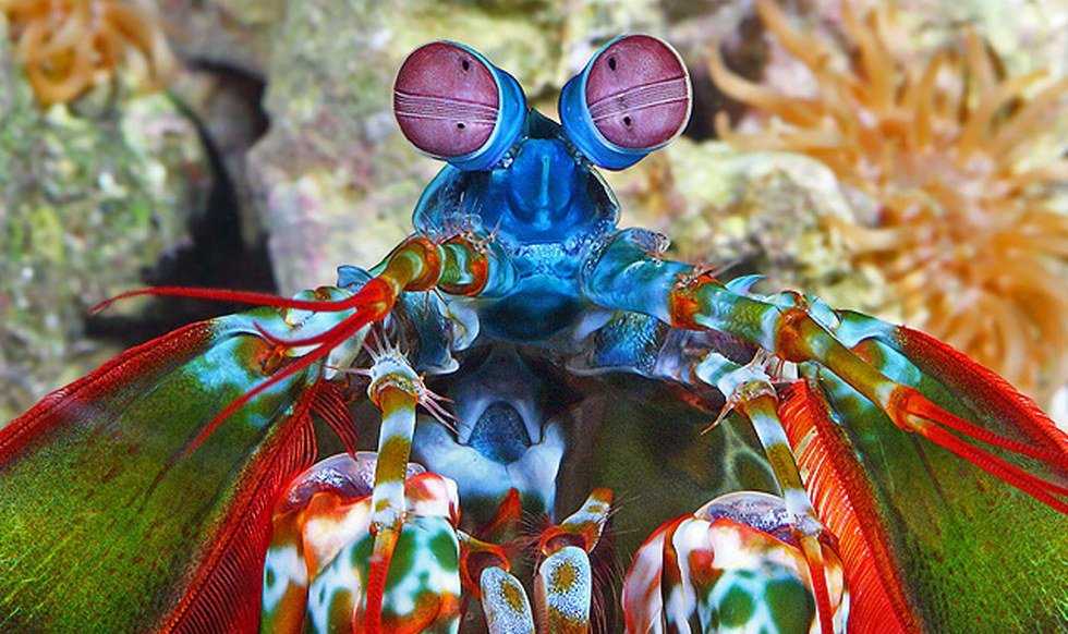 A Rainbow Of Science Fun Facts | The Odyssey Online