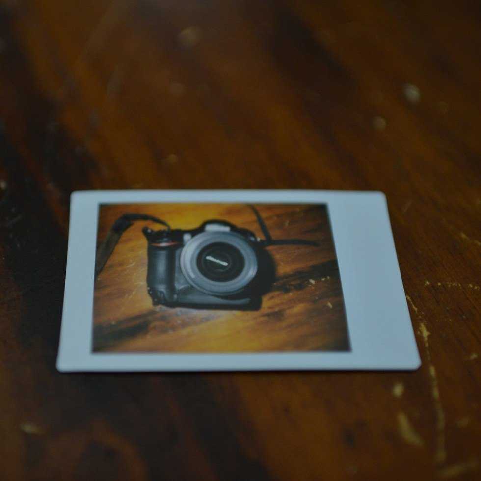 5 Reasons To Travel With A Polariod Camera | The Odyssey Online