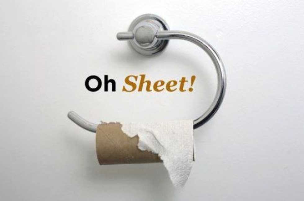 Make Toilet Paper Great Again | The Odyssey Online