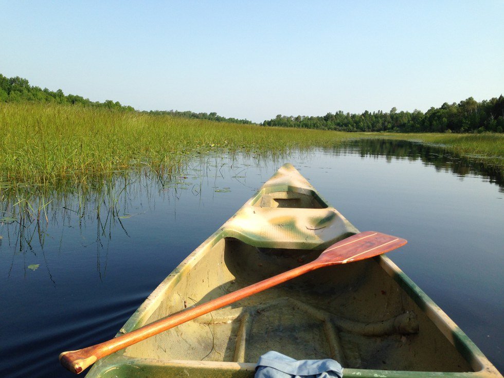 Simple Strokes | The Odyssey Online