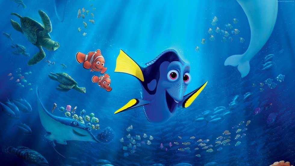 5 Life Lessons We Can All Learn From 'Finding Dory' | The Odyssey Online