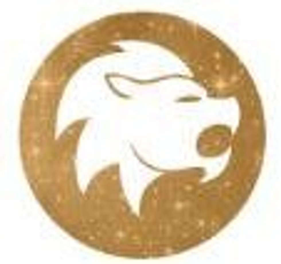 Leo: The Fixed Fire Sign | The Odyssey Online