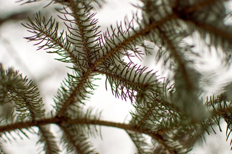 Tips For Overcoming The Writing Bump | The Odyssey Online