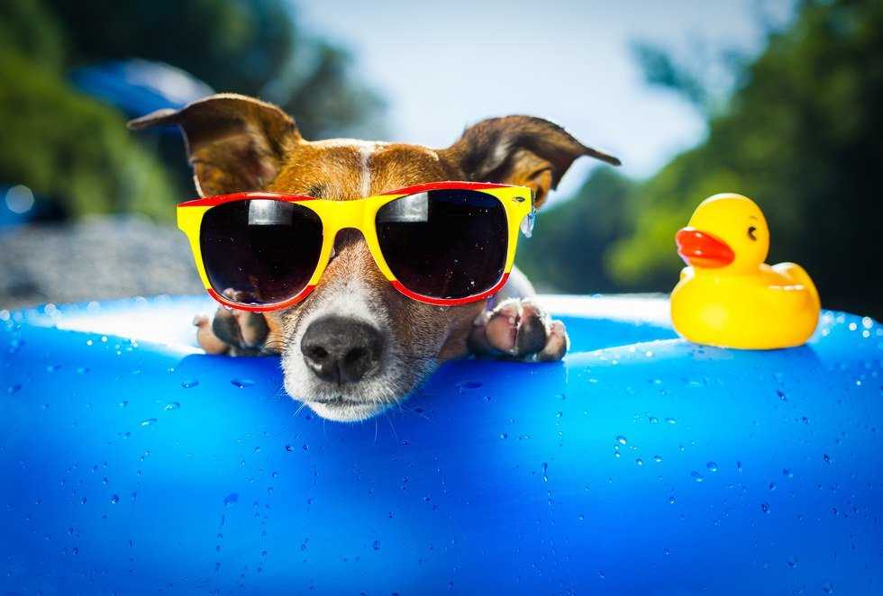 5 Reasons Why Being A Summer Nanny The Best | The Odyssey Online