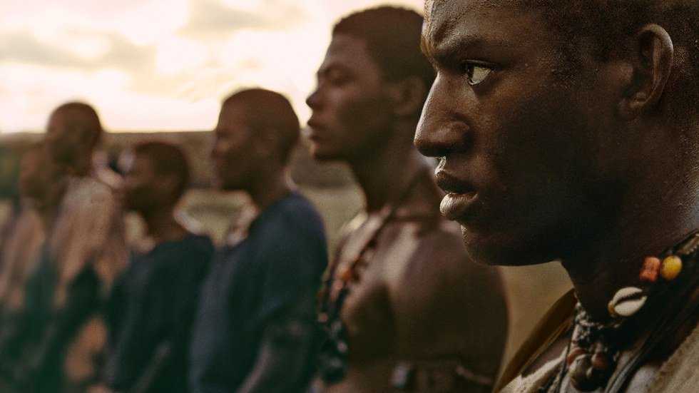 Why The Re-installation Of Roots Is Important | The Odyssey Online