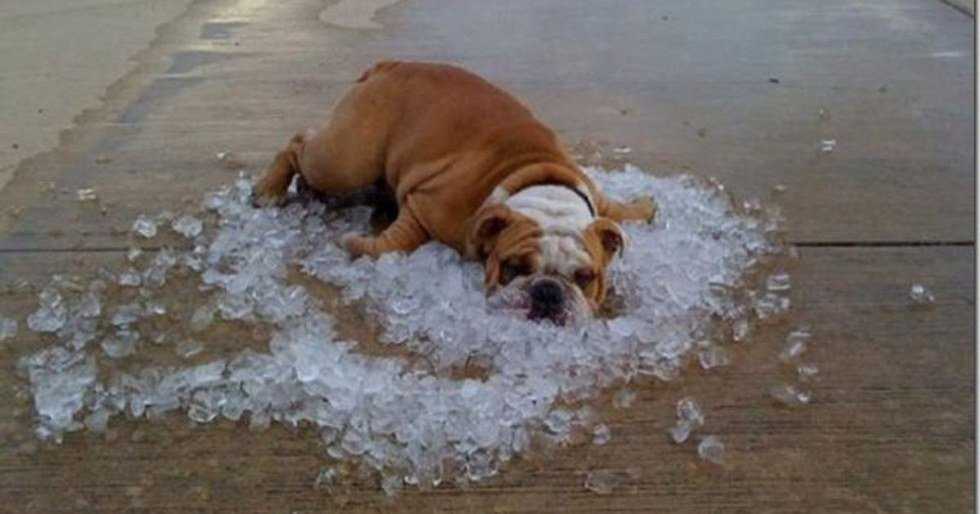 Types of Summer Heat | The Odyssey Online