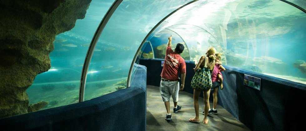 10 Ideas For Summer Fun In Ohio | The Odyssey Online