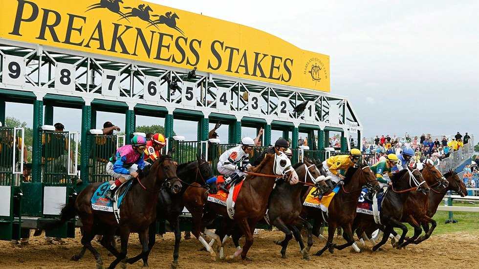 Why Horse Racing Could Be A Dead Sport | The Odyssey Online