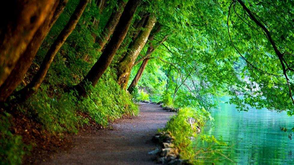 The Impact Nature Has On Your Mind Is Truly Miraculous | The Odyssey Online