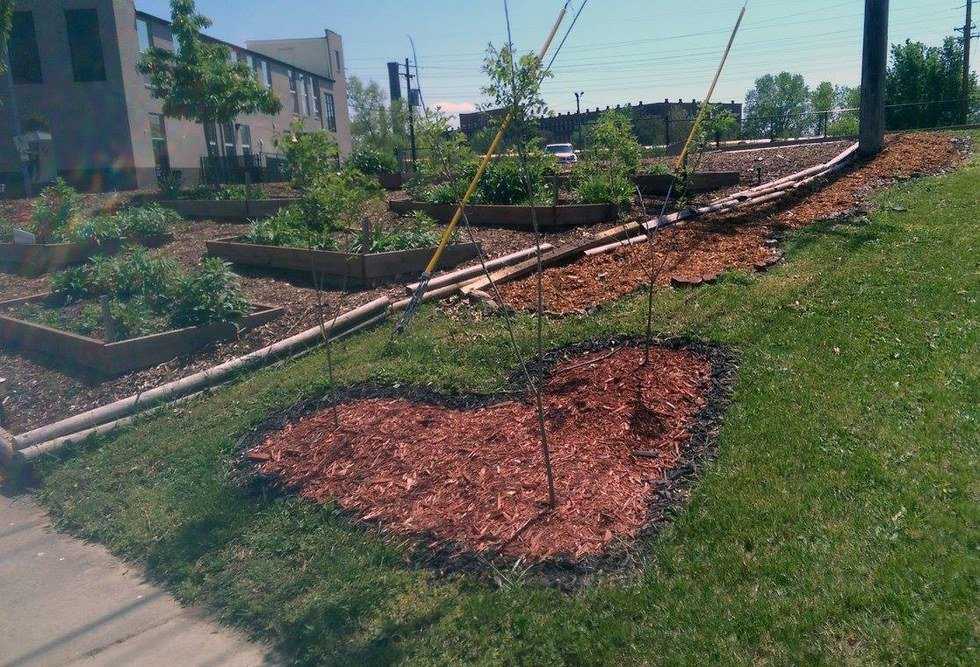 St. Louis's Transgender Memorial Garden | The Odyssey Online