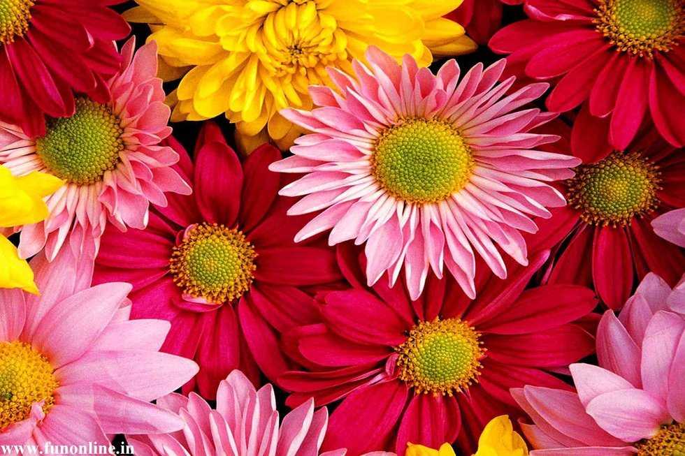 7 Simple Ways To Be Kind | The Odyssey Online