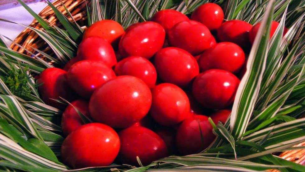 Ladies, Embrace Your Monthly Bodily Function | The Odyssey Online