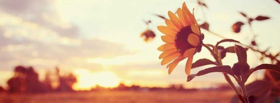 8 Things We Should Say More Often | The Odyssey Online