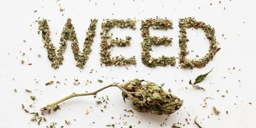 6 Reasons Why We Love It: College Kids & Weed | The Odyssey Online