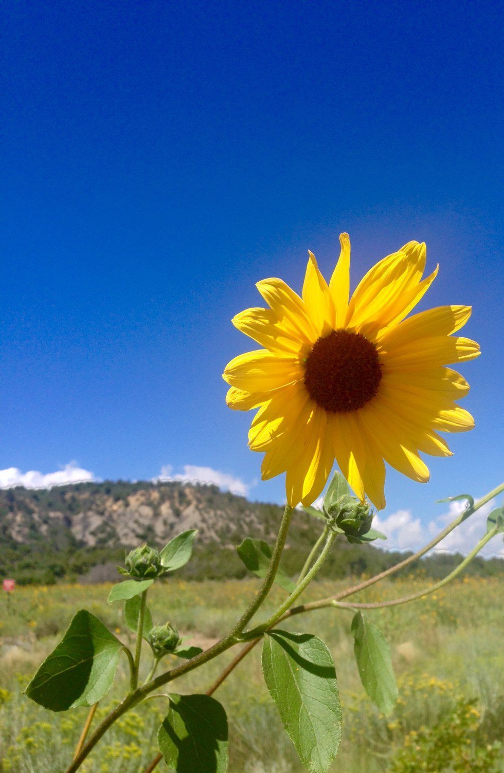 To Every Overworked College Student | The Odyssey Online