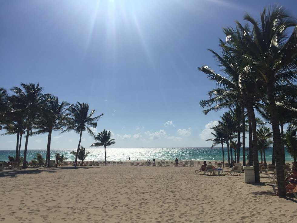 12 Reasons Why I Need Summer Now | The Odyssey Online