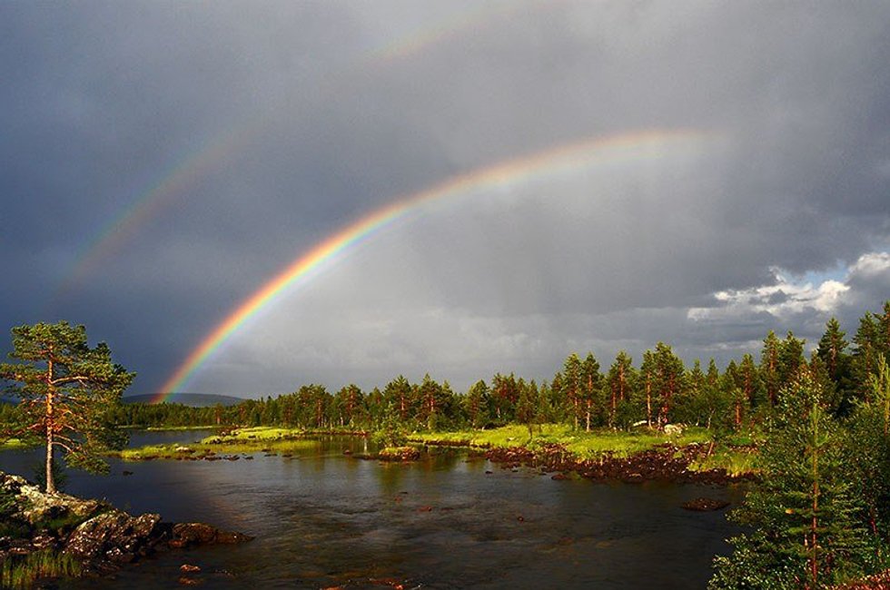 100 Little Things In Life We Should Take the Time to Appreciate | The ...