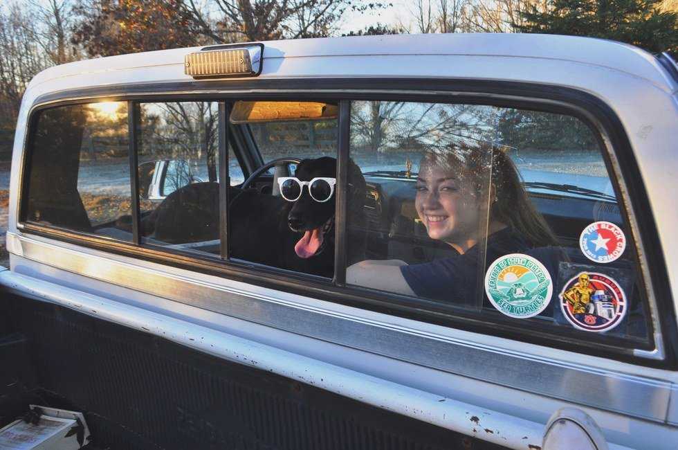 11 Reasons Why Dogs Should Be Allowed In Dorms | The Odyssey Online
