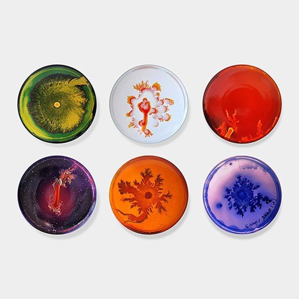 9 Artists Using Science As Inspiration | The Odyssey Online